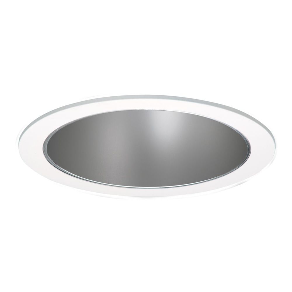 5" PAR30 DOWNLIGHT HAZE : 9023JJW | Shanor Electric Supplies LLC
